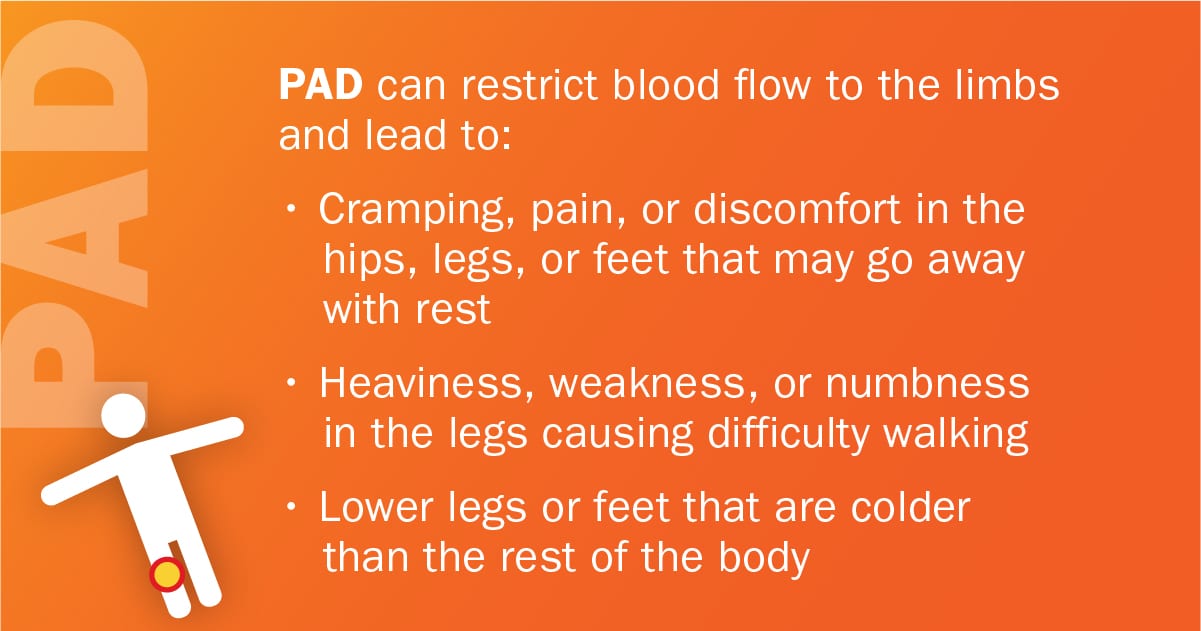 Twelve Things You Should Know About Peripheral Artery Disease ...